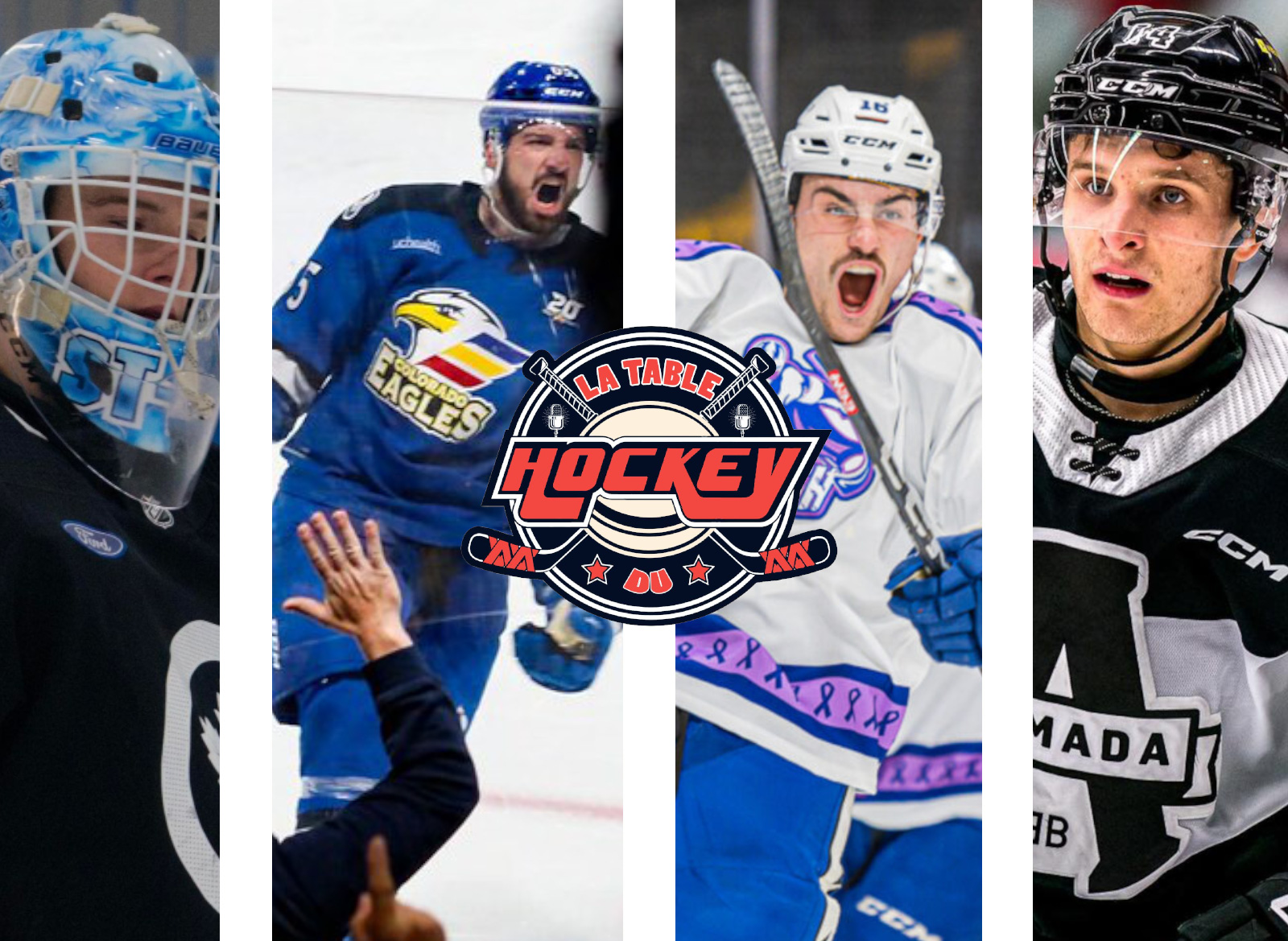Plusieurs Représentants De La Lnhb Dans La Lnh La Table Du Hockey